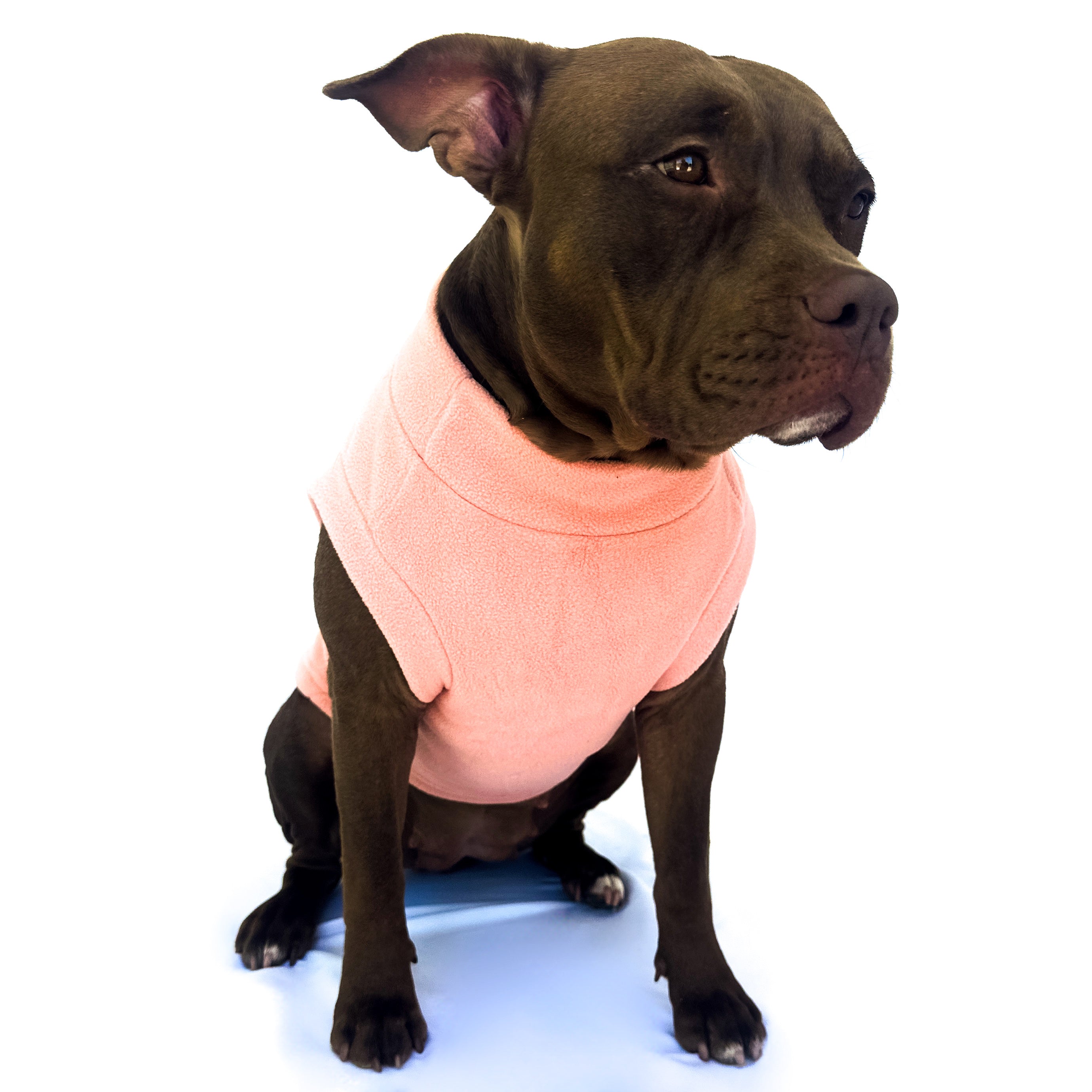 CuddleWear – KatanaPaws